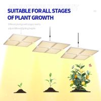 China 400W Power Output Full Spectrum LED Grow Light with Adjustable Hanging Height for Indoor Plant Growth for sale
