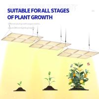 China 600W Full Spectrum LED Grow Light with Dimmable Function for Optimal Plant Growth for sale
