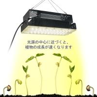 China 100W Full Spectrum LED Grow Light with SMD3030 LEDs for Indoor Plants and Gardens for sale