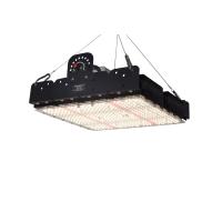 China Full Spectrum 250W T5 LED Grow Light with Passive Thermal Management for Indoor Plants for sale
