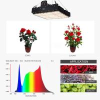 China Full Spectrum 250W T5 LED Grow Light with Passive Thermal Management for Indoor Plants for sale