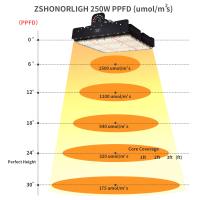 China Full Spectrum 250W T5 LED Grow Light with Passive Thermal Management for Indoor Plants for sale