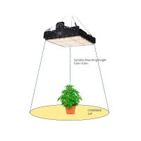 China Full Spectrum 250W T5 LED Grow Light with Passive Thermal Management for Indoor Plants for sale