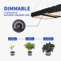 China 500W Full Spectrum LED Grow Light with E27 Base for Indoor Plants and Commercial Use for sale