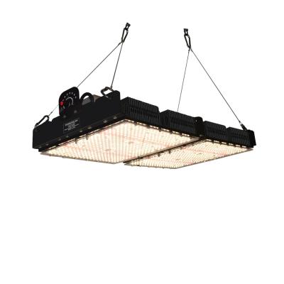 China 500W LED Grow Light with PPFD Readout and Full Spectrum for Indoor Plants for sale
