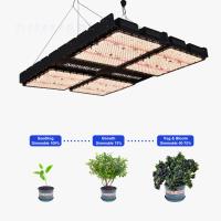 China 1000W Full Spectrum Dimmable LED Grow Light for Indoor Plants with Timer Control for sale