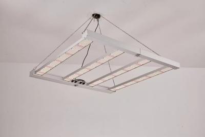 China Foldable 600W Full Spectrum LED Grow Light for Commercial Plant Cultivation for sale