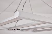 China Foldable 600W Full Spectrum LED Grow Light for Commercial Plant Cultivation for sale