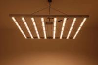 China 800W Full Spectrum LED Grow Light with IP65 Waterproof for Commercial Plant Growth for sale