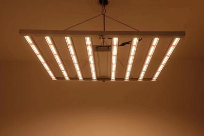 China 800W Full Spectrum LED Grow Light with IP65 Waterproof for Commercial Plant Growth for sale