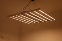 China 800W Full Spectrum LED Grow Light with IP65 Waterproof for Commercial Plant Growth for sale