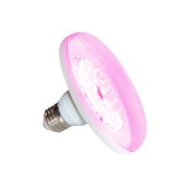 China 10W 20W Full Spectrum LED Grow Light with IP67 Waterproof for All Plant Growth Stages for sale