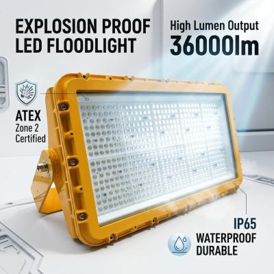 China 600W Explosion Proof LED Flood Light ATEX Narrow Beam 60° Long-Range Tower Chimney 72000lm IP66 Die-Cast Aluminum ADC12 for sale