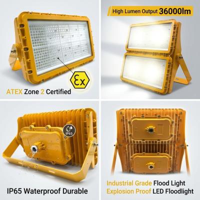 China 600W Explosion Proof LED Flood Light ATEX Zone 21 Zone 22 Dust Proof Anti-Static 78000lm IP66 Aluminum Lighting for sale