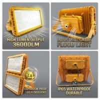 China 600W Explosion Proof LED Flood Light ATEX Zone 1 Zone 2 Hazardous Area 78000lm IP66 Die-Cast Aluminum ADC12 for sale