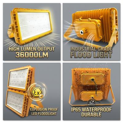 China 600W Explosion Proof LED Flood Light ATEX Zone 1 Zone 2 Hazardous Area 78000lm IP66 Die-Cast Aluminum ADC12 for sale