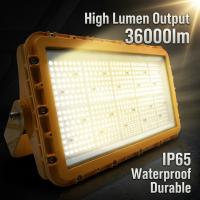 China 300W Explosion Proof LED Flood Light ATEX Zone 21 Zone 22 Dust Proof Anti-Static 39000lm IP66 Aluminum Lighting for sale