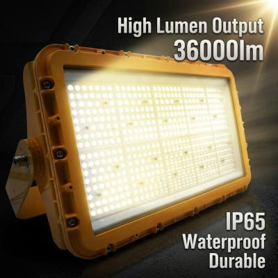 China 300W Explosion Proof LED Flood Light ATEX Zone 21 Zone 22 Dust Proof Anti-Static 39000lm IP66 Aluminum Lighting for sale