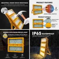 China ATEX Ex db mb IIb T6 300W LED Explosion Proof Flood Light LUMILEDS LM-80 IP65 Hazardous Area Industrial Lighting for sale