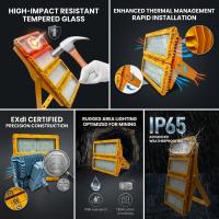 China ATEX Ex db mb IIb T6 600W LED Explosion Proof Flood Light LUMILEDS LM-80 72000LM IP65 Large Area Hazardous Lighting for sale