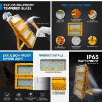 China 6KV Surge AC100-277V 300W LED Explosion Proof Flood Light LUMILEDS LM-80 ATEX IIb T6 IP65 Hazardous Area Lighting for sale