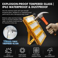 China 6KV Surge AC100-277V 300W LED Explosion Proof Flood Light LUMILEDS LM-80 ATEX IIb T6 IP65 Hazardous Area Lighting for sale