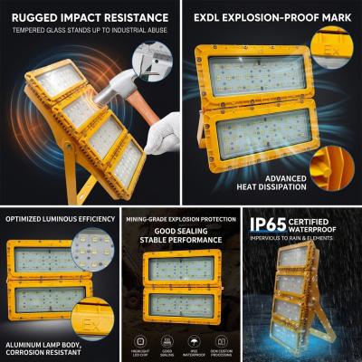 China IP65 Weatherproof 600W LED Explosion Proof Flood Light -40C/60C LUMILEDS LM-80 ATEX IIb T6 WF2 Hazardous Area Fixture for sale