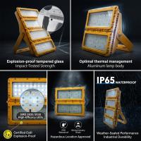 China 50000H Long-Life 300W LED Explosion Proof Flood Light 30 60 90 Beam LUMILEDS LM-80 ATEX IIb T6 IP65 Hazardous Fixture for sale