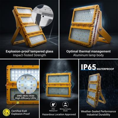 China 50000H Long-Life 300W LED Explosion Proof Flood Light 30 60 90 Beam LUMILEDS LM-80 ATEX IIb T6 IP65 Hazardous Fixture for sale