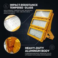 China 50000H Long-Life 300W LED Explosion Proof Flood Light 30 60 90 Beam LUMILEDS LM-80 ATEX IIb T6 IP65 Hazardous Fixture for sale