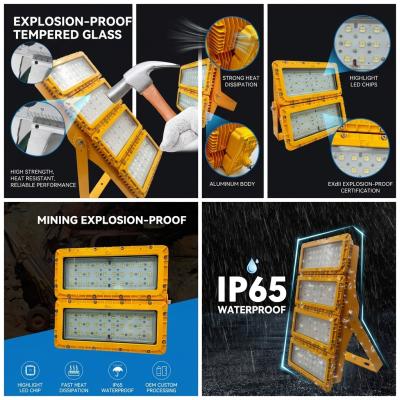 China Multi-Mount 600W LED Explosion Proof Flood Light 6-Way Bracket LUMILEDS LM-80 ATEX IIb T6 IP65 Ceiling Boom Wall Fixture for sale