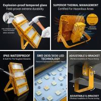 China Zone 1 Zone 2 300W LED Explosion Proof Flood Light LUMILEDS LM-80 ATEX IIb T6 Gas Dust IP65 Hazardous Area Fixture for sale