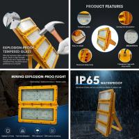 China Zone 1 Zone 2 300W LED Explosion Proof Flood Light LUMILEDS LM-80 ATEX IIb T6 Gas Dust IP65 Hazardous Area Fixture for sale
