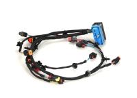 China 2605542 260-5542 Wiring Harness For E320D E323D C6.6 Excavator Engine Wiring Harness for sale