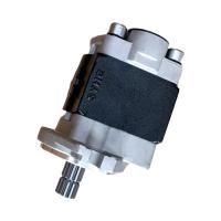 China 13 teeth 1001-2999 hydraulic pump for GD535-5 Grader for sale