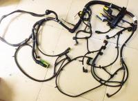China Engine 22343361 22328868 21886098 Cable harness for FM4 D13 truck for sale