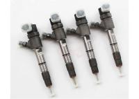 China Top Quality Common Rail Fuel injector 0445110787 for sale
