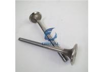 China Excavator diesel engine parts 3040830 EXHAUST VALVE Fits  NT855 145701 for sale