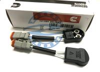 China 3803682 Diesel Engine Wiring Harness QSM11 ISM11 M11 L10 N14 for sale