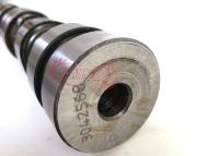 China Excavator Engine Parts NT855 NTA855 Diesel Engine Camshaft 3042568 for sale