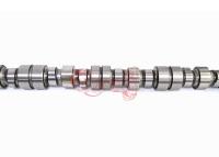 China Excavator Engine Parts NT855 NTA855 Diesel Engine Camshaft 3042568 for sale