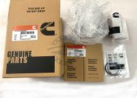 China QSM11 ISM11 M11 Diesel Engine Piston Kits 4025158 3800470 4059897 3161818 4059898 4022532 4022533 4024941 for sale