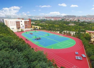 China SDT-3016 Modular Sports Flooring 300x300x15.8mm with 54% Shock Absorption for Running Tracks for sale
