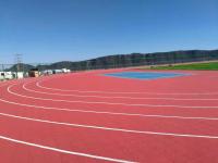 China SMG-3015 Professional Running Track Flooring with 533 Cushions/m² and 9.2㎡ per Carton for sale