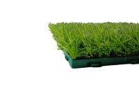 China EIA-3018 Modular Artificial Grass Futsal Flooring 304x304x18.2mm with -15℃ to 70℃ Temperature Resistance for sale