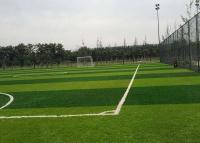 China High Elasticity Artificial Turf SD080 Series - 30-60mm Height, 5-8 Year Warranty for Sports Fields for sale
