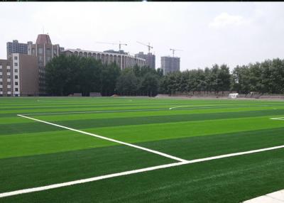 China SD120 Futsal Court Artificial Turf - 30-60mm Height, 12,000 Dtex Football Grass with 5-8 Year Warranty for sale