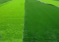 China SD080 Futsal Synthetic Grass 30-60mm Height with 5-8 Year Warranty | PE+PP Anti-Slip Sports Turf for sale