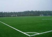 China PE PP School Playground Flooring 60mm Yarn Height Diamond Plus Stem Artificial Grass for sale