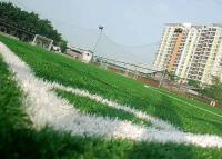 China Odorless DIY Artificial Grass for Playground Sports Court 30-60mm Height Easy Install for sale